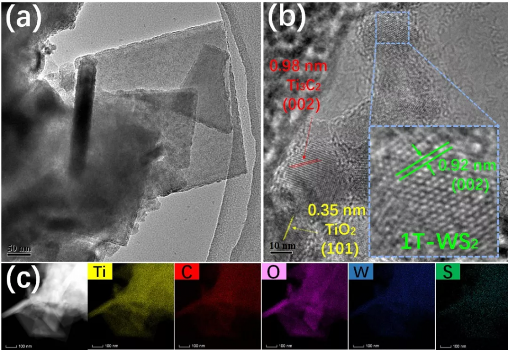 双金属分解水制氢催化剂：Ti3C2 MXene+1T-WS2-NMSCI.CN