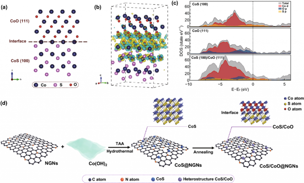 澳大利亚张山青教授等：界面工程结合DFT计算构建ORR/OER双功能电催化剂-纳微科技