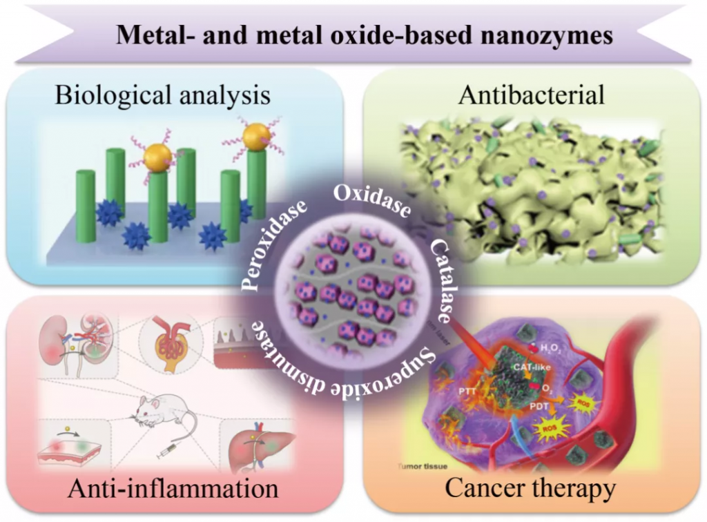 NML综述 | 金属和金属氧化物纳米酶的性能、机制和应用-NMSCI.CN