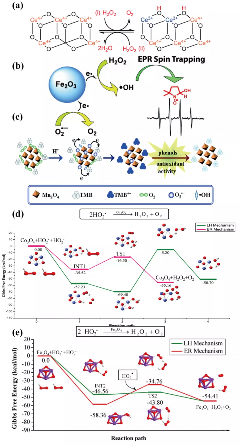 NML综述 | 金属和金属氧化物纳米酶的性能、机制和应用-NMSCI.CN