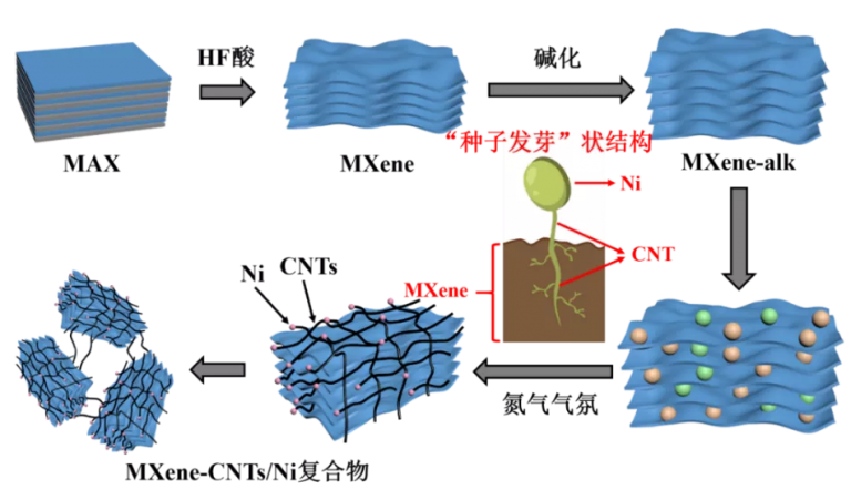 “种子发芽状”MXene基复合物：通过极化与磁化增强微波吸收性能-NMSCI.CN