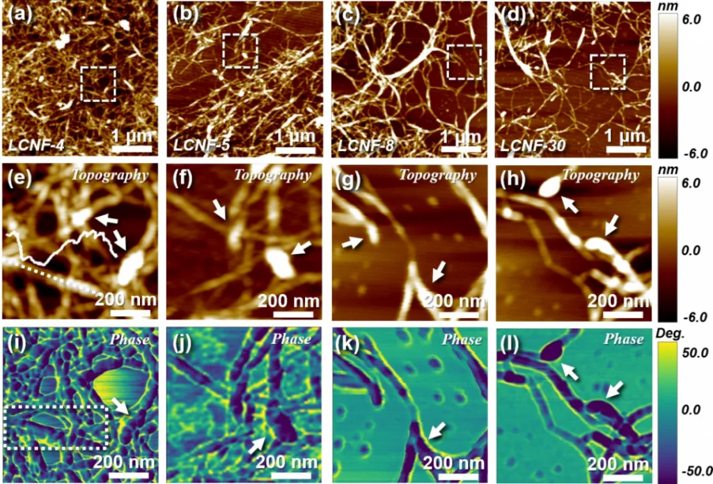 竹源纳米纤维异质结衍生碳：环境自适应的宽频电磁波吸收材料-NMSCI.CN