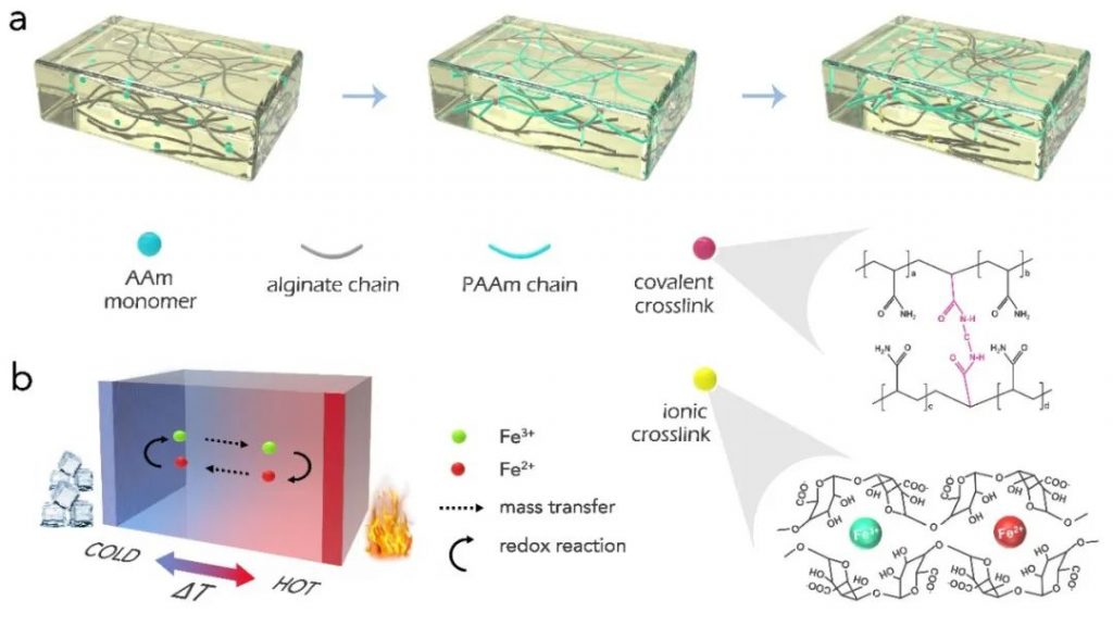 柔性准固态热电化学电池：热电化学效应和力学性能协同调控-NMSCI.CN