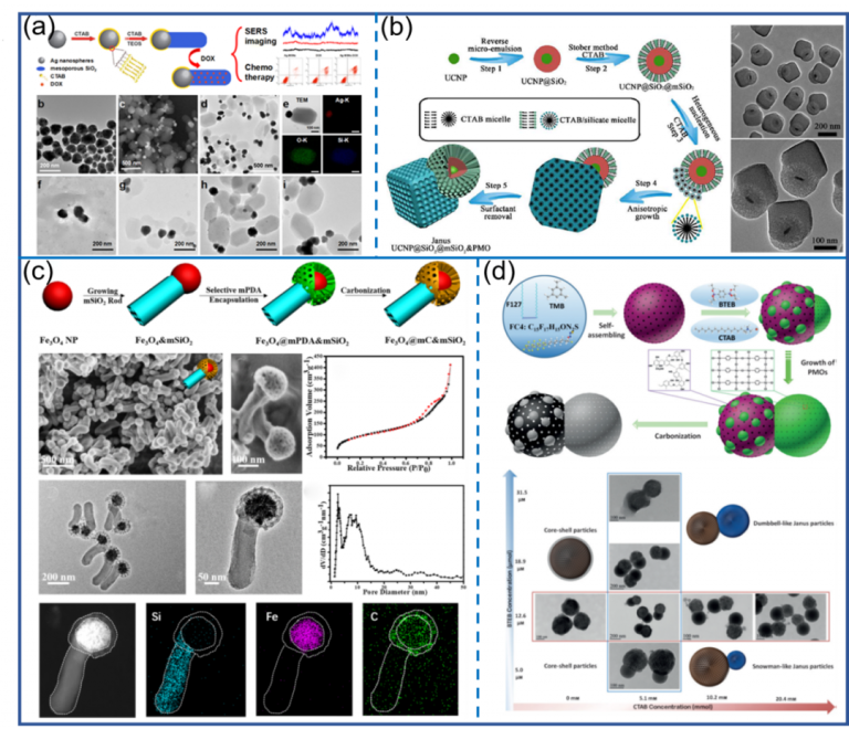NML综述 | 非对称碳基和硅基纳米材料的合成策略及其多功能应用-NMSCI.CN