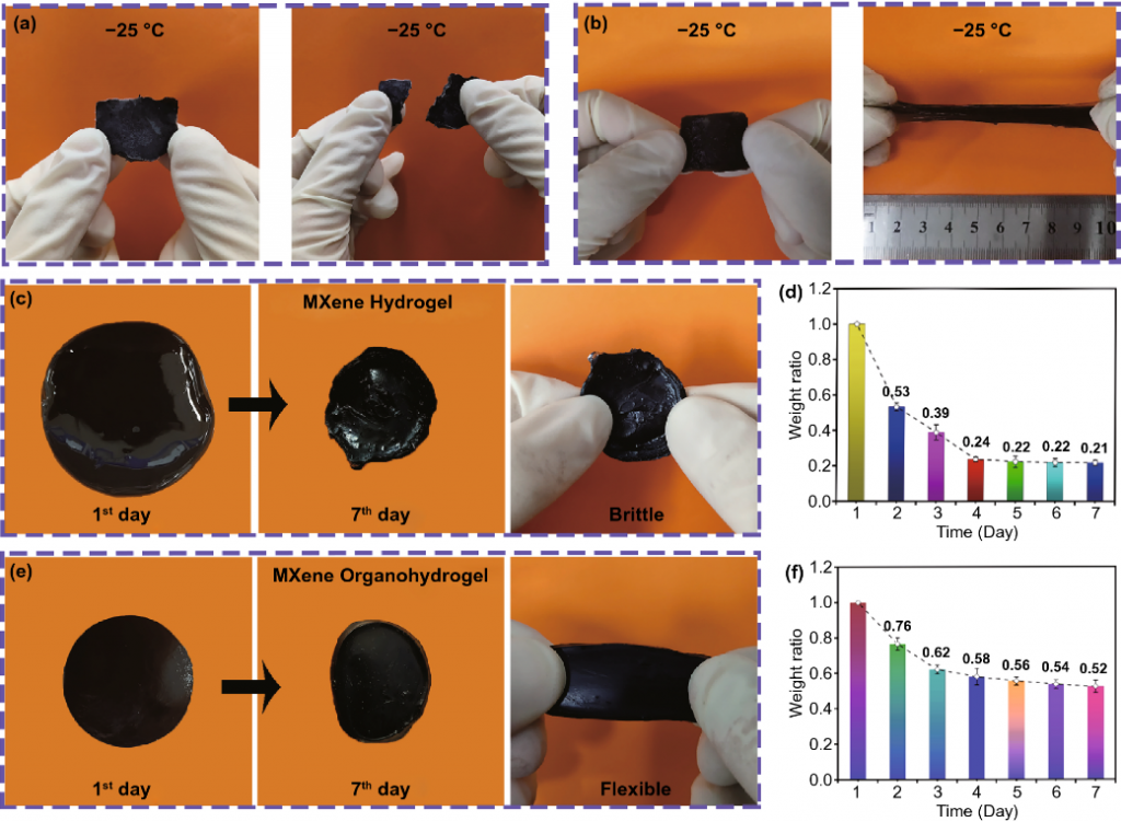 MXene基有机水凝胶电磁屏蔽材料：可拉伸、自修复、抗干燥、耐低温-NMSCI.CN