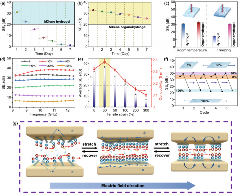 MXene基有机水凝胶电磁屏蔽材料：可拉伸、自修复、抗干燥、耐低温-NMSCI.CN