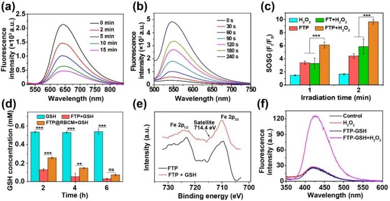 仿生红细胞：引发自由基风暴杀伤肿瘤细胞&增强免疫效应-NMSCI.CN