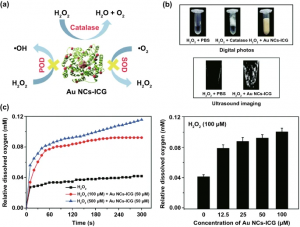 NTU综述：纳米酶—癌症诊断和治疗的多功能平台-NMSCI.CN