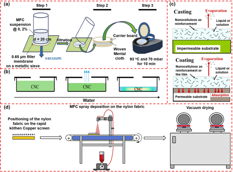 德国哥廷根大学综述：纤维素纳米纸的制备、功能化和应用-NMSCI.CN