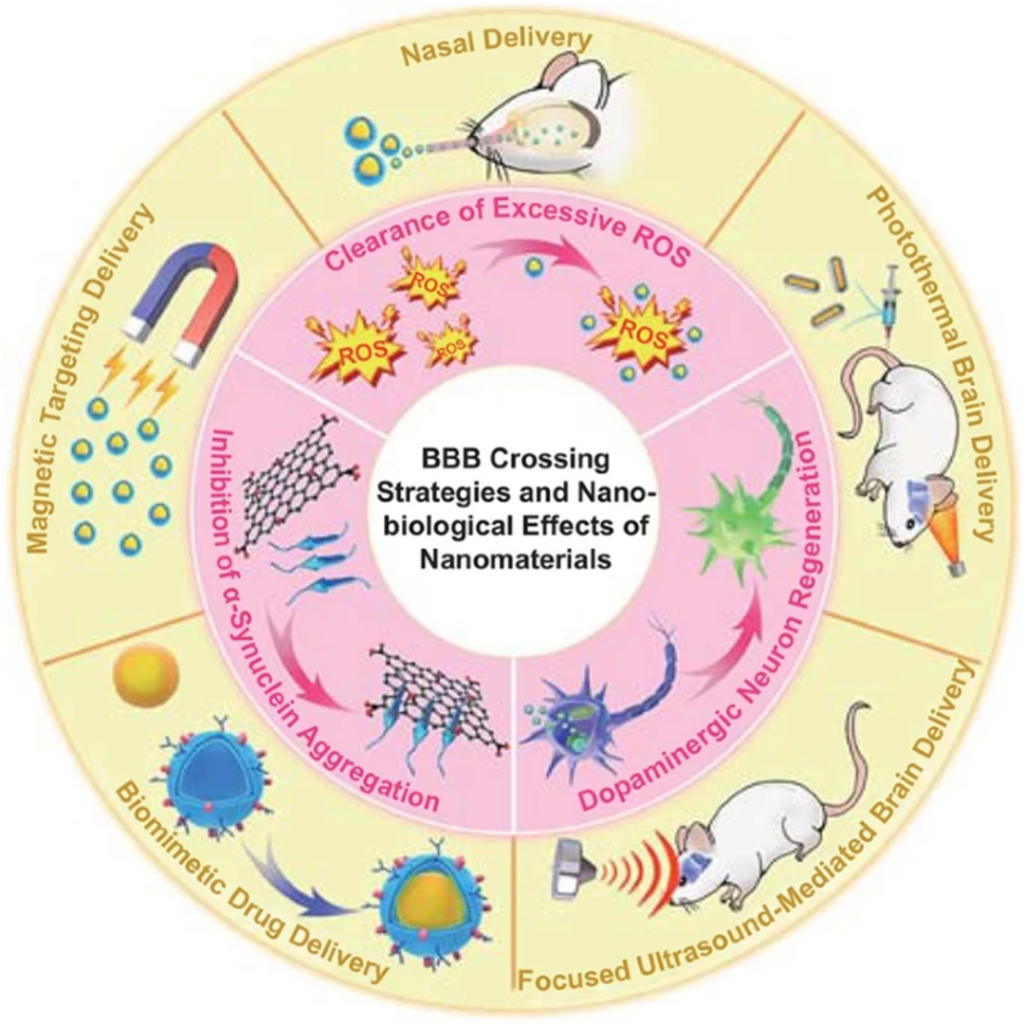 NML文章集锦 | 纳米酶-NMSCI.CN