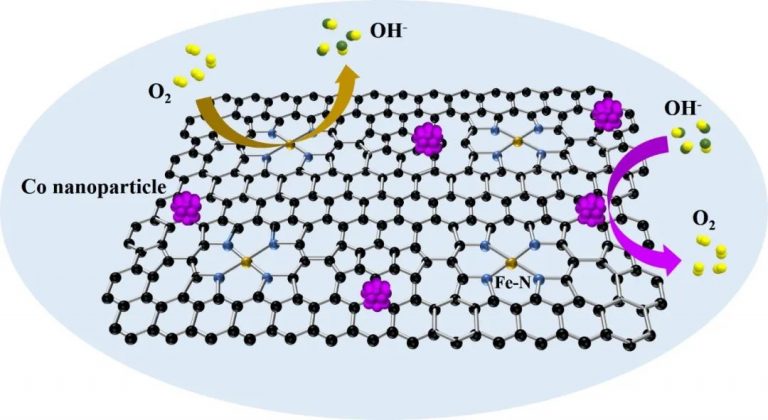 锌空电池高效氧电催化剂：MOF衍生的氮掺杂碳网络负载纳米钴和铁-NMSCI.CN