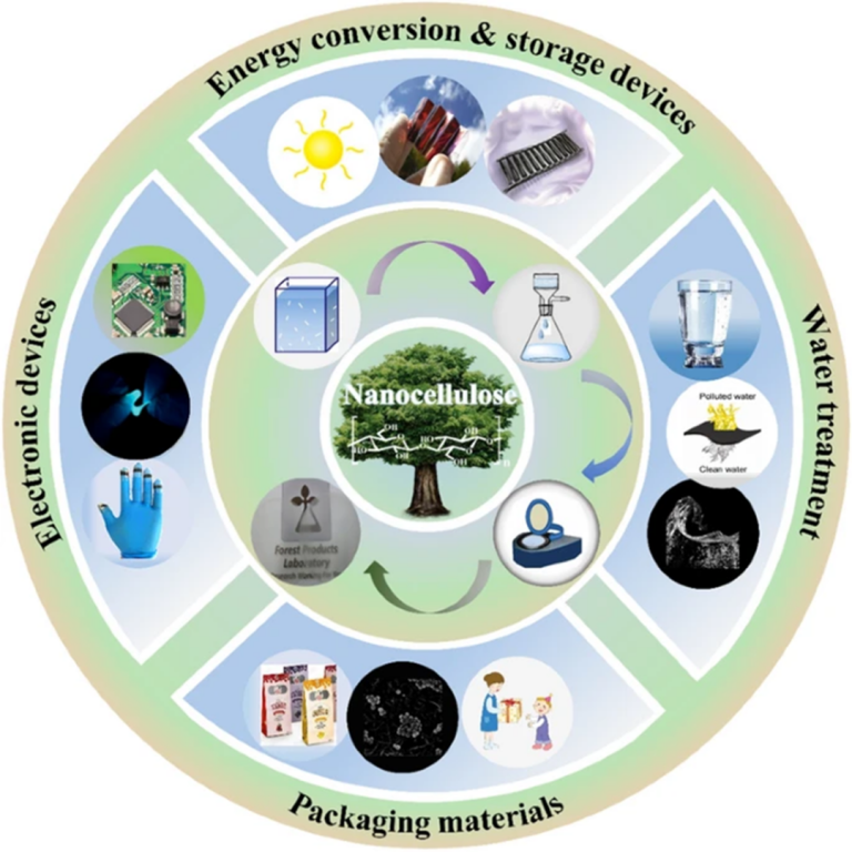 NML文章集锦 | 纤维素材料-NMSCI.CN