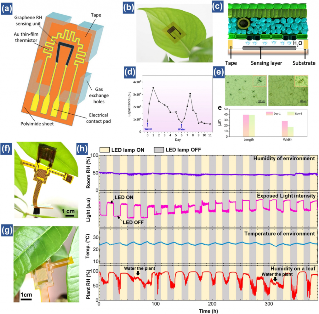 NML综述：柔性湿度传感器及其集成系统研究进展、机遇和挑战-NMSCI.CN