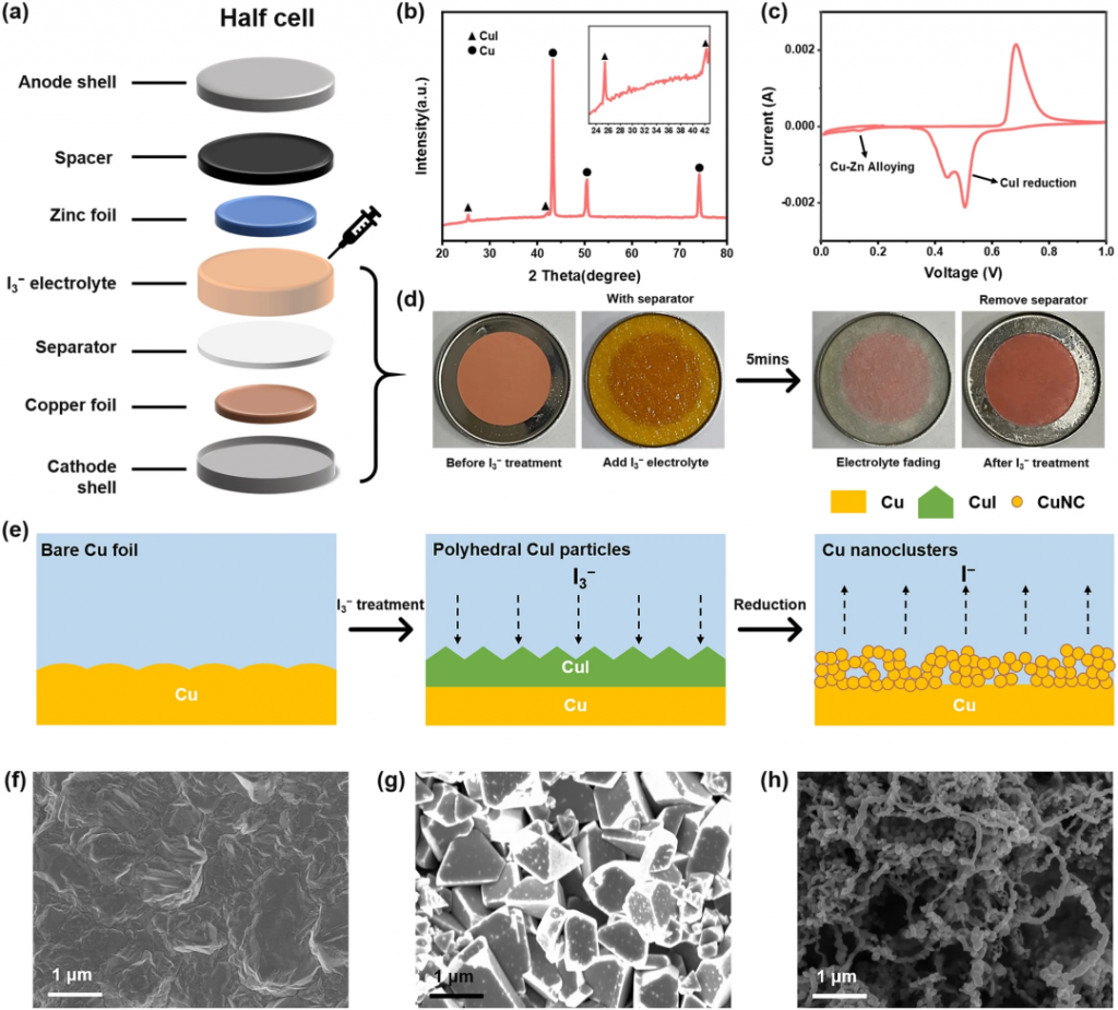 复旦大学卢红斌：高能量密度无负极锌碘电池的正负极设计-NMSCI.CN
