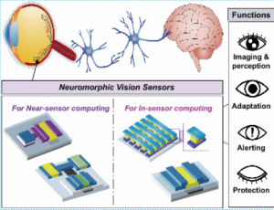 NML综述：神经形态视觉传感器材料与器件研究进展-NMSCI.CN