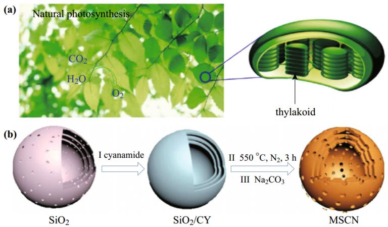 综述：类石墨相g-C3N4结构：催化、传感、成像及LED应用 - Nano-Micro Letters