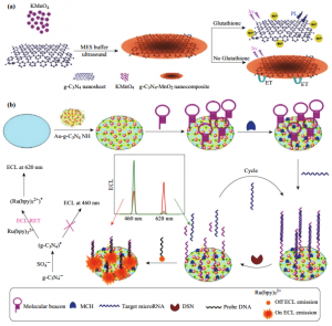 综述：类石墨相g-C3N4结构：催化、传感、成像及LED应用 - Nano-Micro Letters