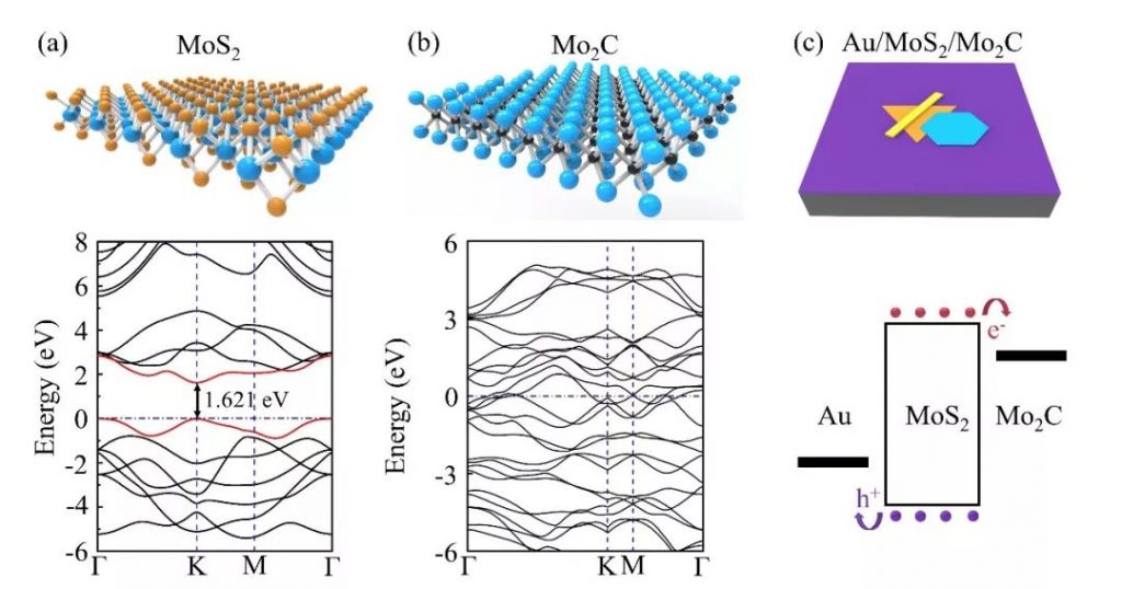 NML研究文章｜高稳定性Mo2C/MoS2/Au光电探测器！大功函数差Mo2C-Au非对称接触结构-纳微科技