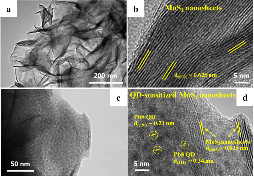 13 - Nano-Micro Letters