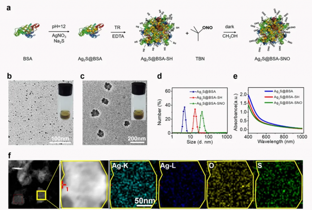 肿瘤放疗增敏+免疫治疗：基于纳米AgS的多功能近红外光热控释一氧化氮体系 - Nano-Micro Letters