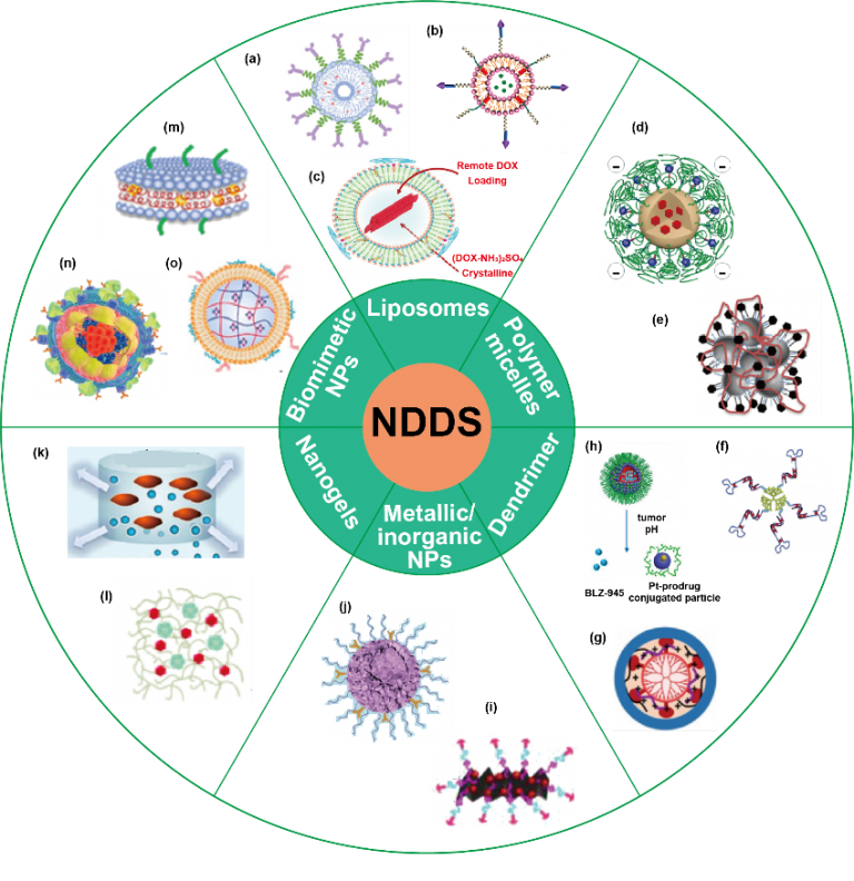 纳米药物递送系统：用于肿瘤化学免疫联合治疗的研究进展 - Nano-Micro Letters