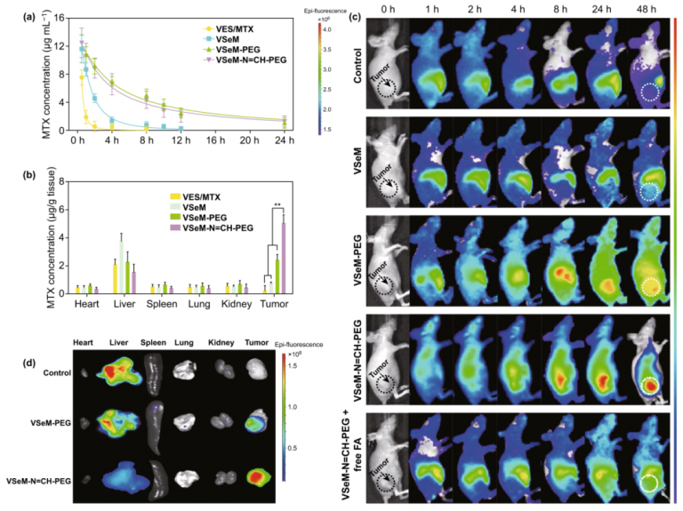 无载体纳米前药：自靶向激活和ROS循环放大实现肿瘤的氧化-化疗协同治疗 - Nano-Micro Letters