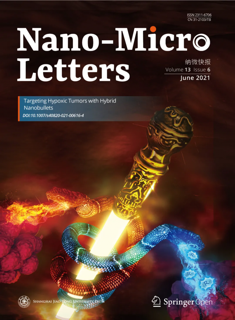 【NML编委】陈俊(Jun Chen) - Nano-Micro Letters