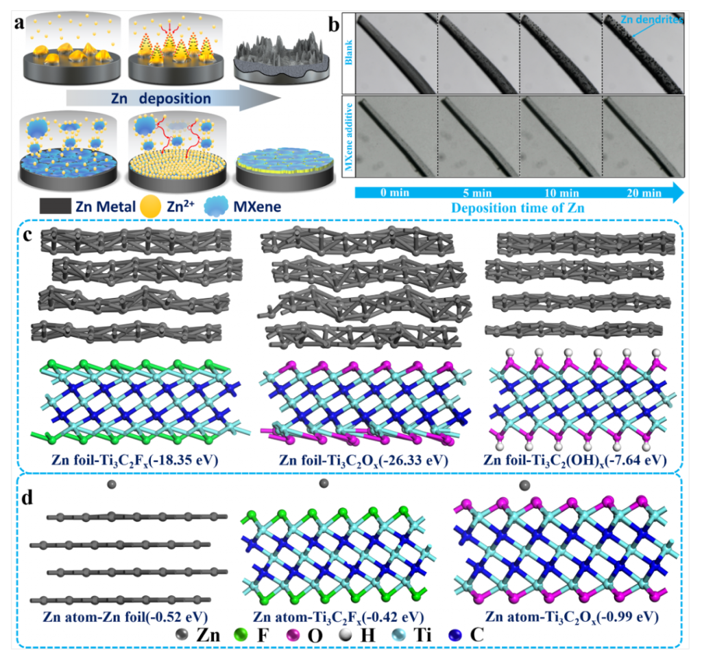 无枝晶锌负极：MXene纳米片电解液提高锌电池循环寿命与库仑效率 - Nano-Micro Letters