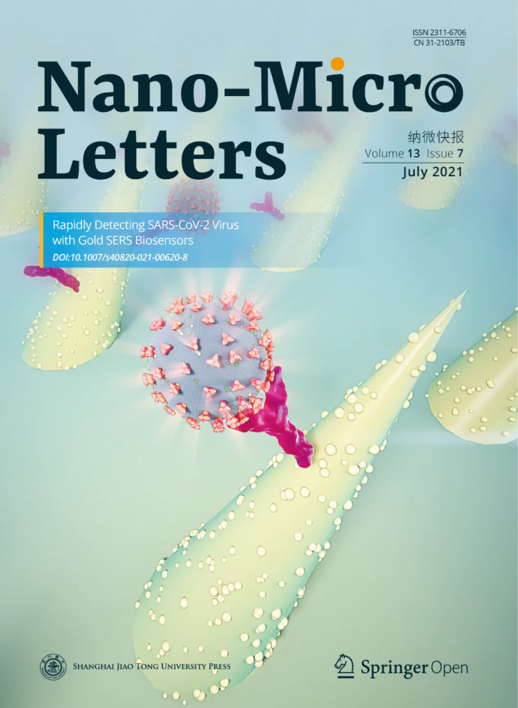 【NML编委】Martin Pumera - Nano-Micro Letters