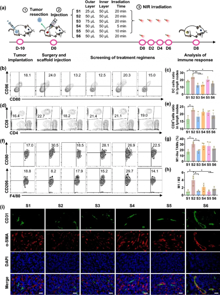 乳腺癌术后治疗：可注射双层凝胶实现索拉非尼和抗CD47抗体的贯序释放 - Nano-Micro Letters