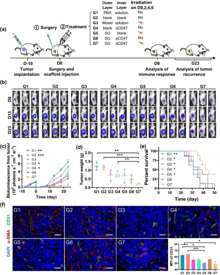 乳腺癌术后治疗：可注射双层凝胶实现索拉非尼和抗CD47抗体的贯序释放 - Nano-Micro Letters