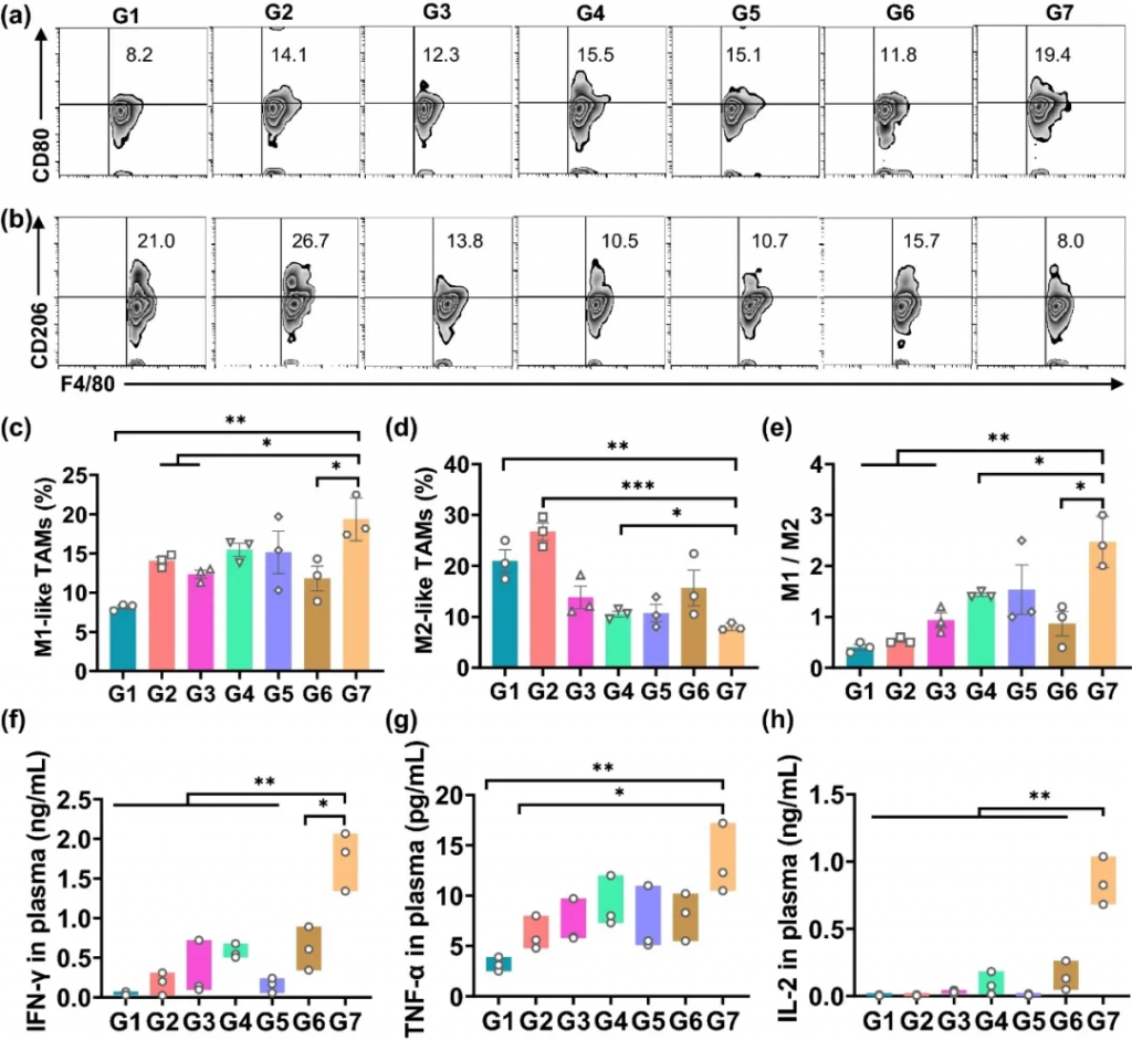 乳腺癌术后治疗：可注射双层凝胶实现索拉非尼和抗CD47抗体的贯序释放 - Nano-Micro Letters