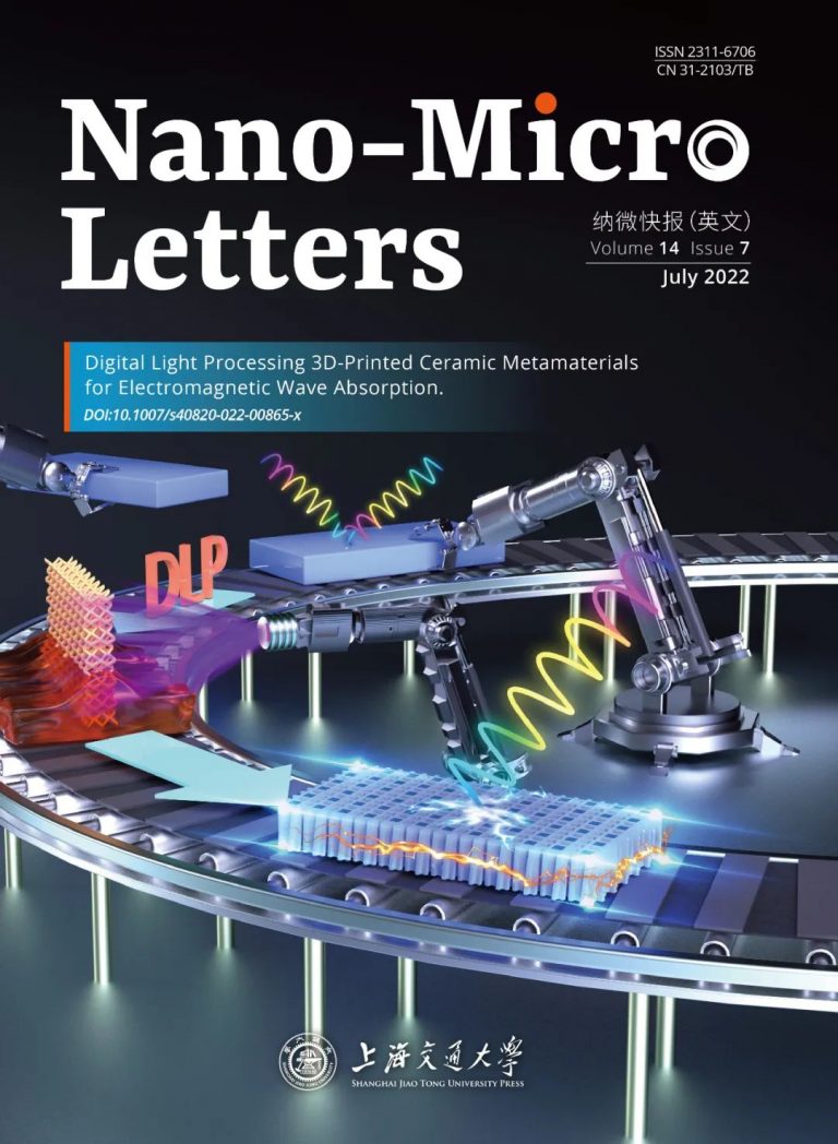 NML综述：OER催化剂在不同能量标度下的设计策略 - Nano-Micro Letters