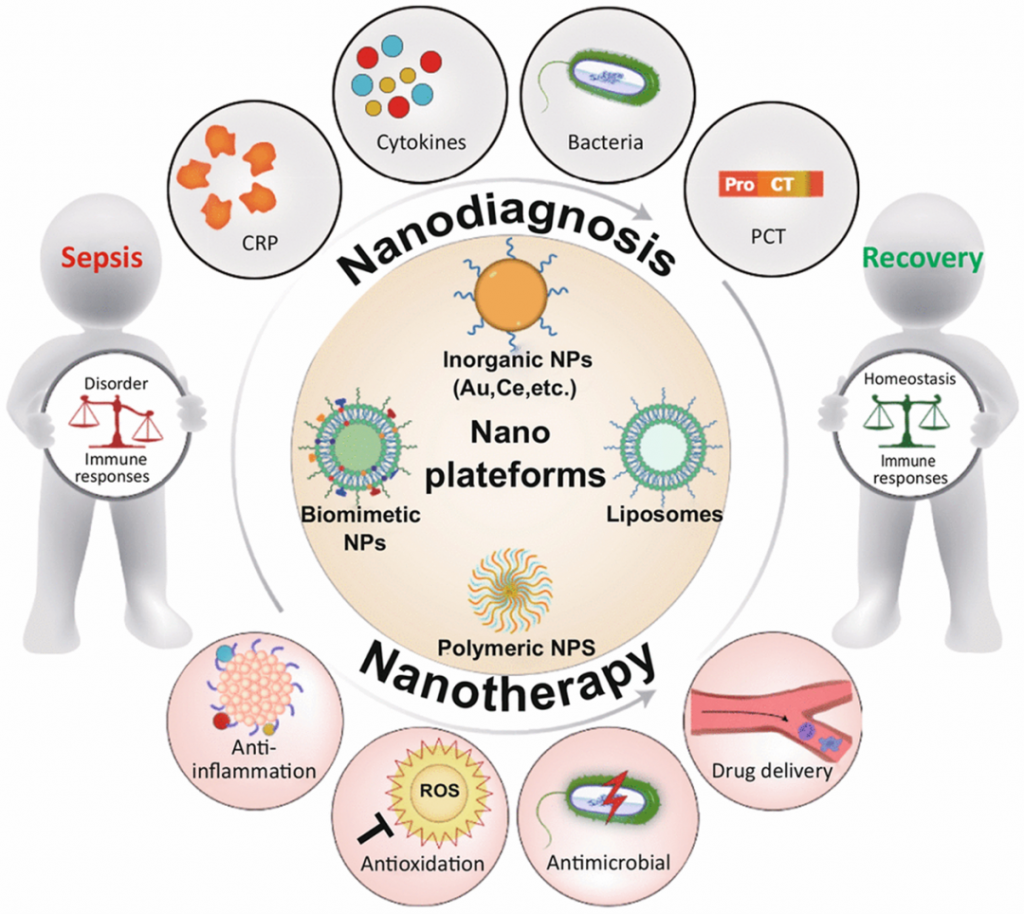 NML文章集锦 | 纳米酶 - Nano-Micro Letters