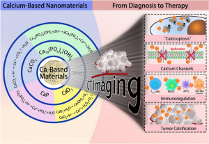 厦门大学刘刚教授团队：钙基纳米材料与癌症—从诊断到治疗 - Nano-Micro Letters