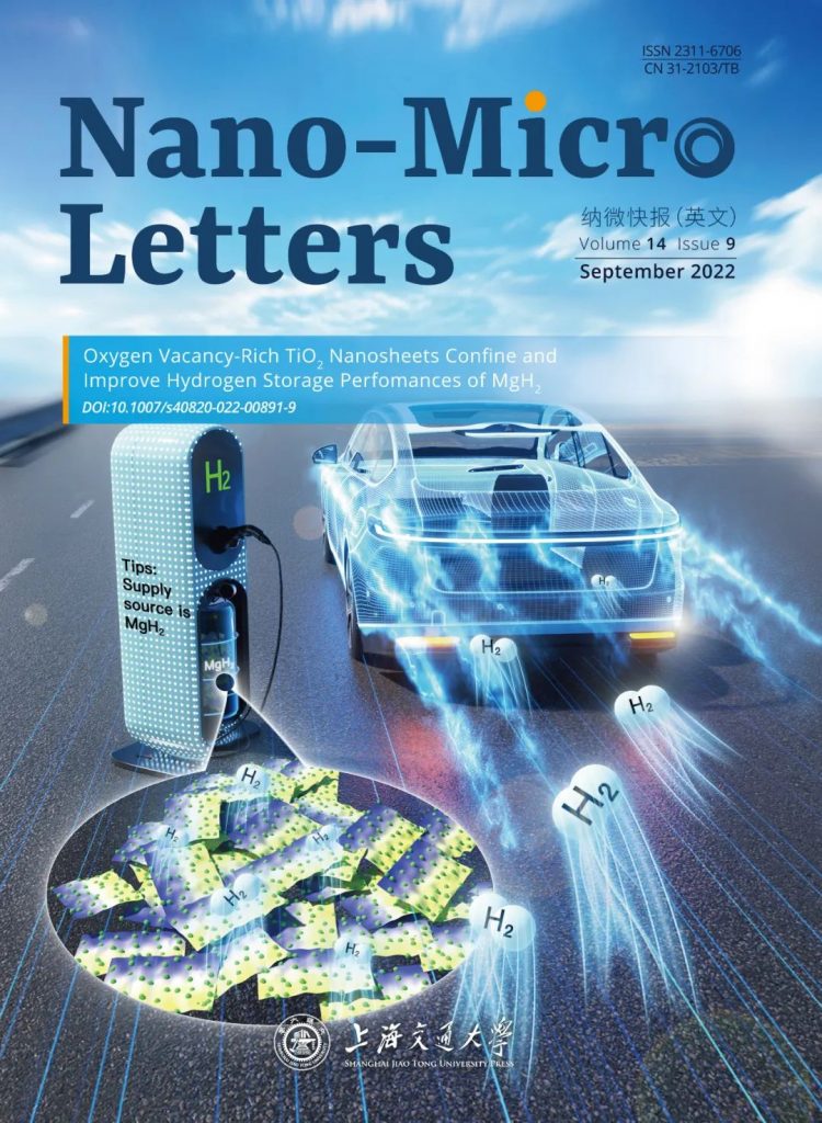 瑞典查尔姆斯理工大学王二刚教授等：柔性非共轭链段实现全聚合物太阳电池高光伏和机械性能 - Nano-Micro Letters