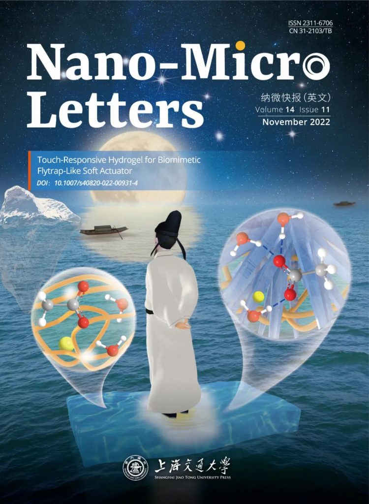 NML文章集锦 | 超级电容器(10篇综述论文) - Nano-Micro Letters