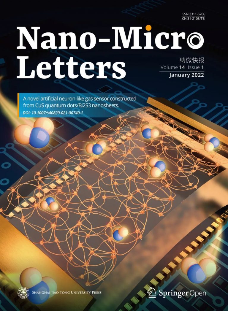 2022年NML封面故事 - Nano-Micro Letters